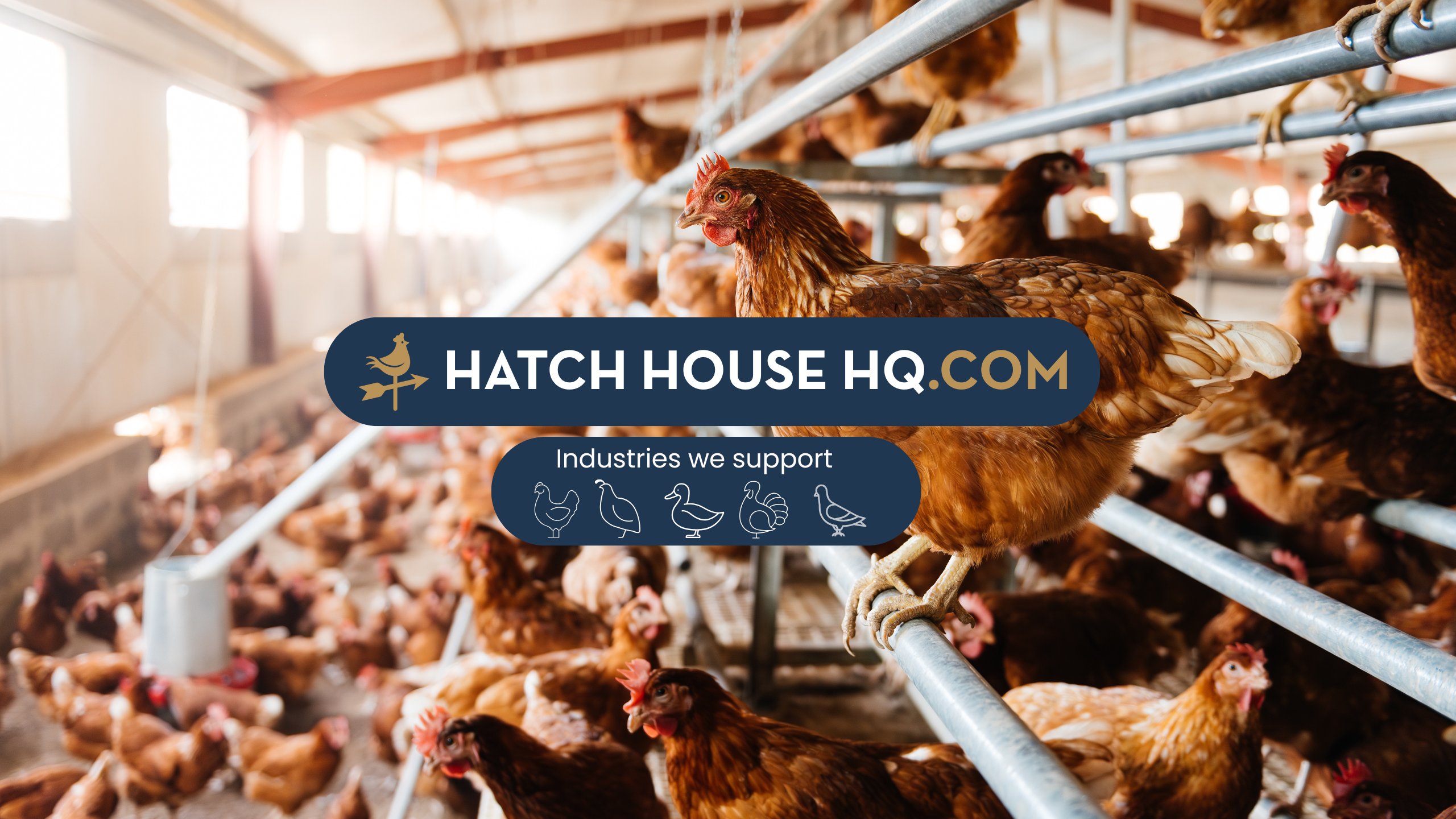 Products – Hatch House HQ